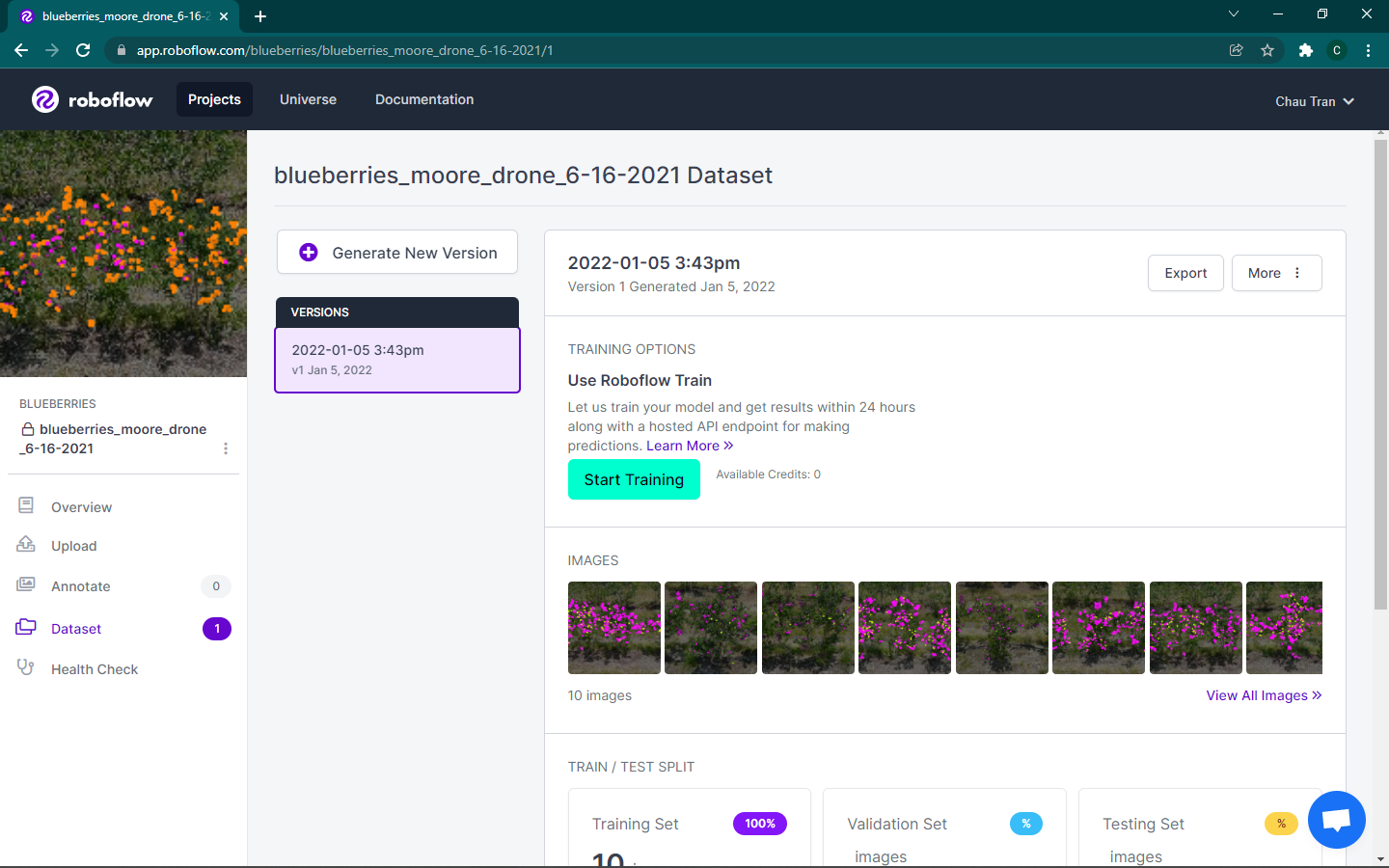 YOLOv5 — Rowan Blueberry Project